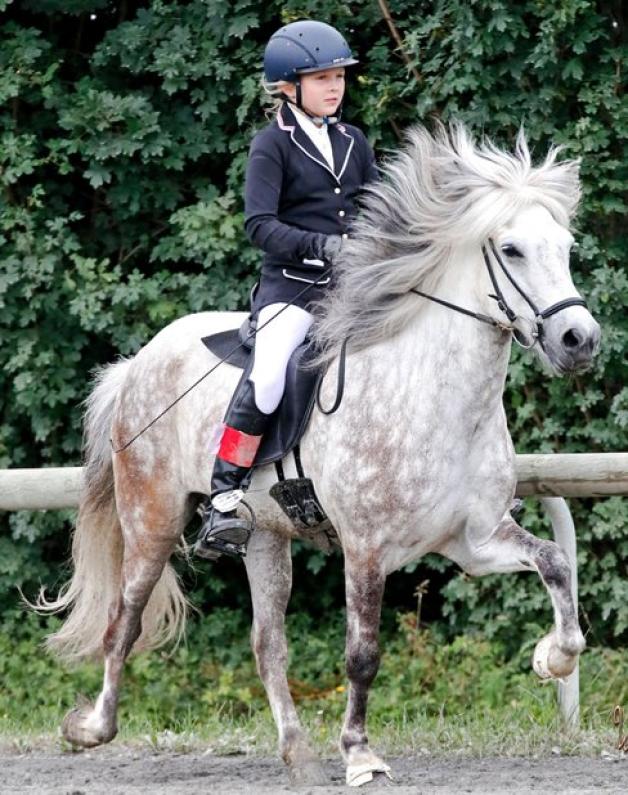 Islandpferdereiten: Meller Kollmeyer-Schwestern winkt Bundeskader