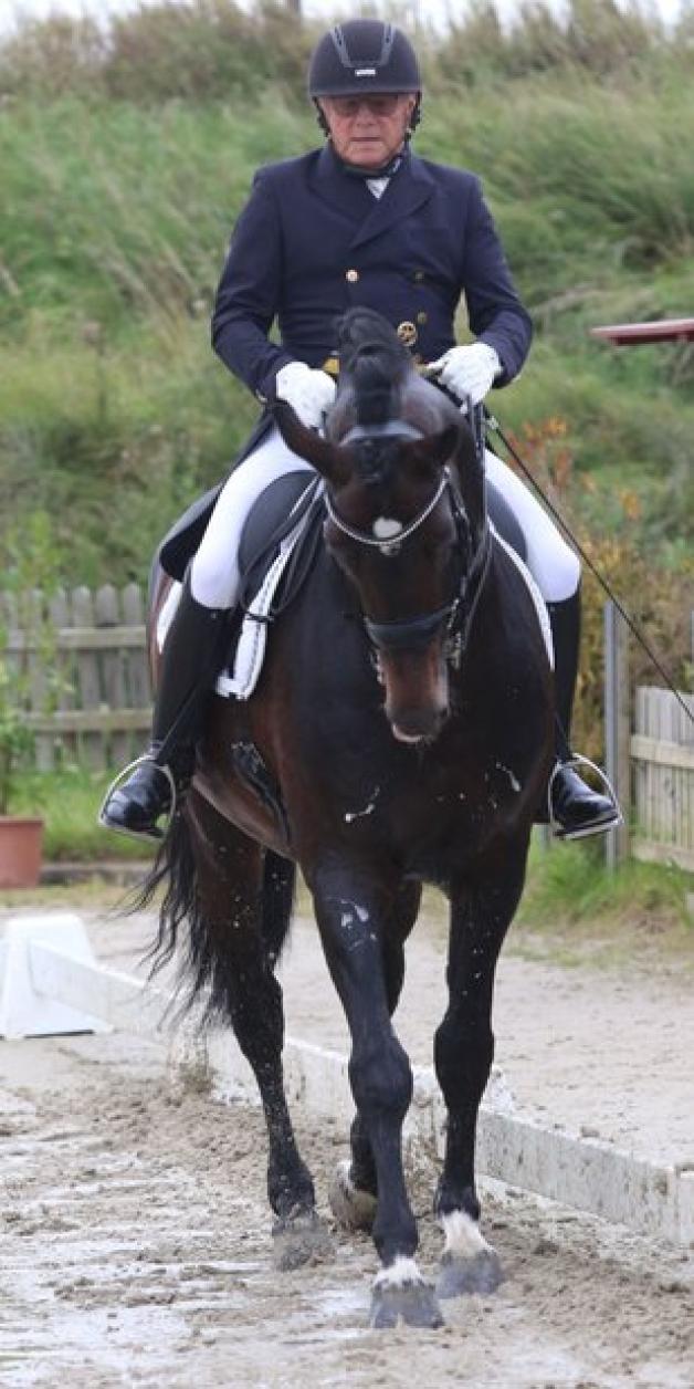 Dressur: Anna Metzler gewinnt Kurz-Grand-Prix am Moltkestein