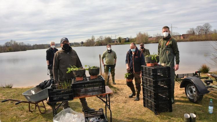 Angler pflanzen im Hasesee in Bramsche Teichrosen | NOZ
