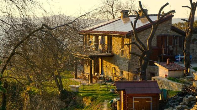 Seltene Hunderasse: Jutta und Robert Ammann züchten Bergamasker