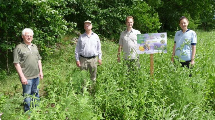 Was Blühflächen in Lingen alles für die Natur bewirken