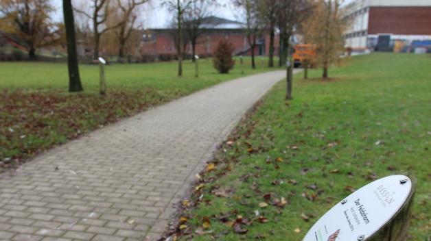 Baum des Jahres 2020 steht am Schulzentrum in Dissen