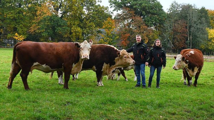 Warum eine altenglische Hereford-Rinderherde auf Badbergens