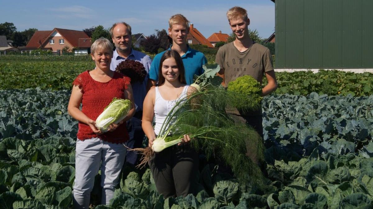 Bald Markthalle auf Hof Alswede in Gehrde?