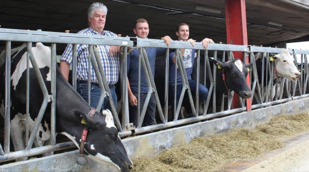 Warum es bei Milchbauern im nördlichen Emsland eng wird