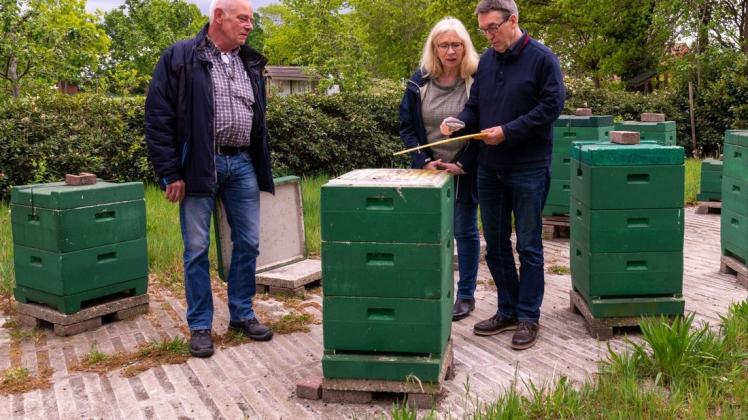 Die Vitalität der Bienen nimmt ab - auch im Emsland