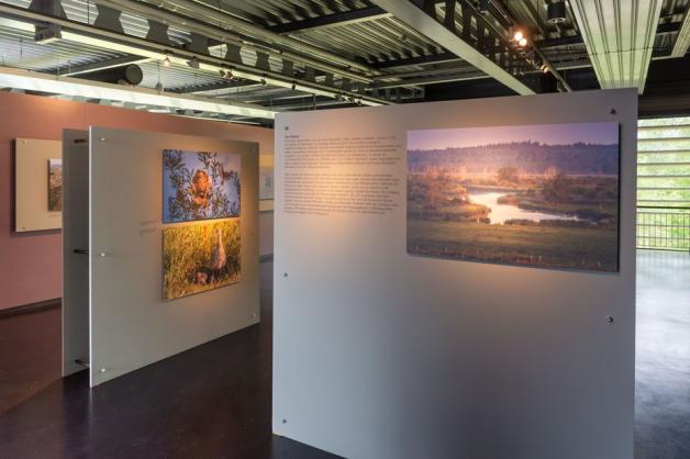 Torfmoose und Naturschönheiten: Ausstellungen in Geeste