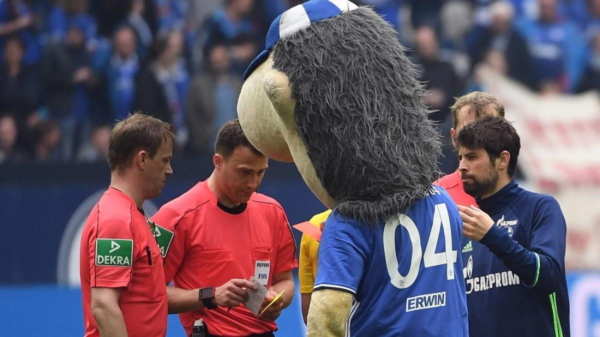 Als Schalke-Maskottchen Erwin Schiedsrichter Zwayer Rot zeigte