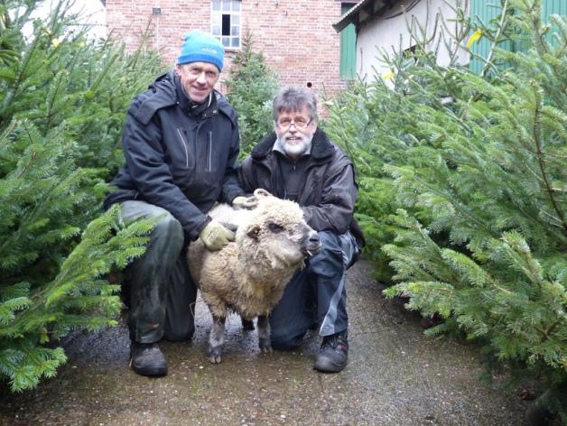 Christbaumverkauf in Melle kommt in