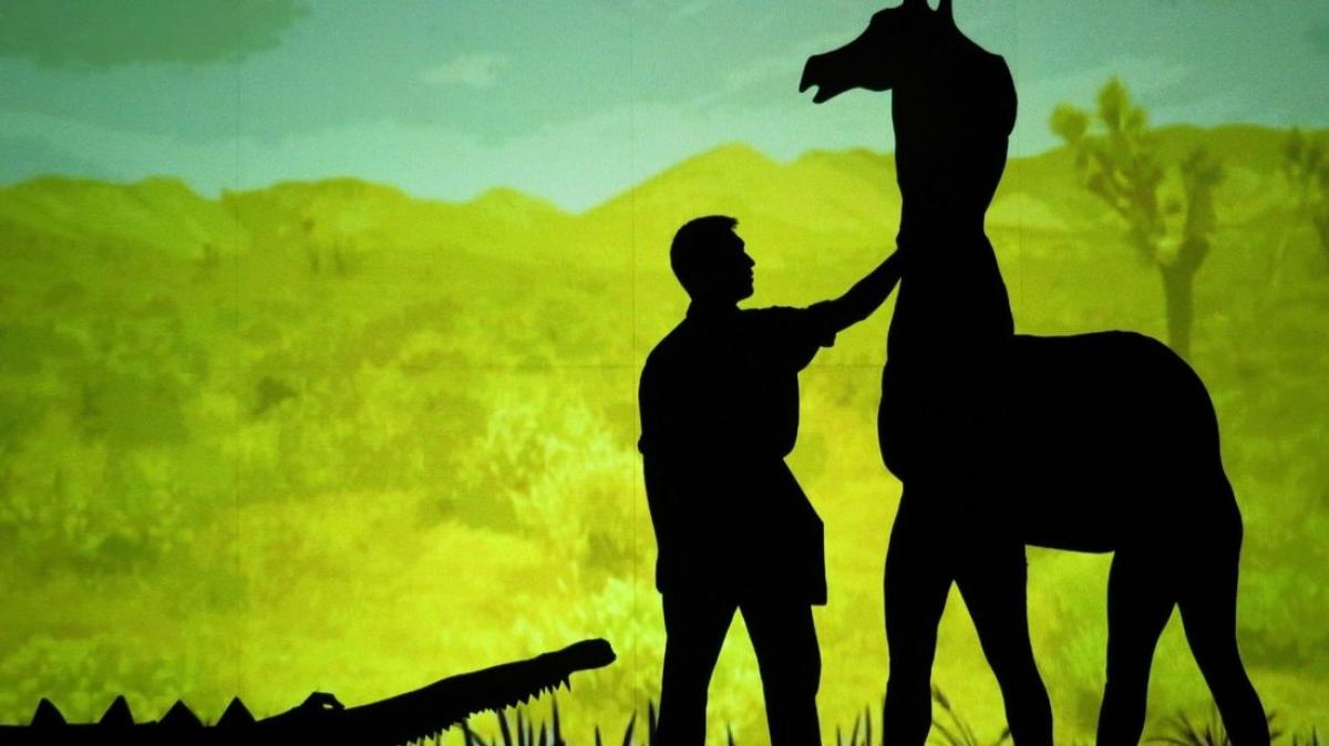 Show "Amazing Shadows" kommt nach