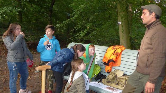 Wenn Lotter und Westerkappelner Viertklässler Waldexperten werden