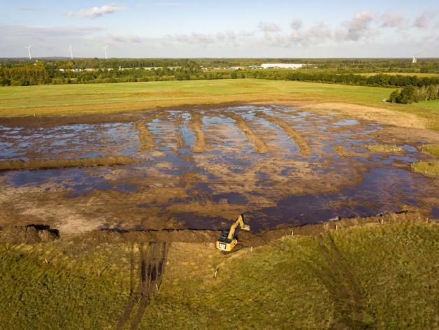 Baggern für die Lobelie im Emsland – Torfmoos und Schlamm