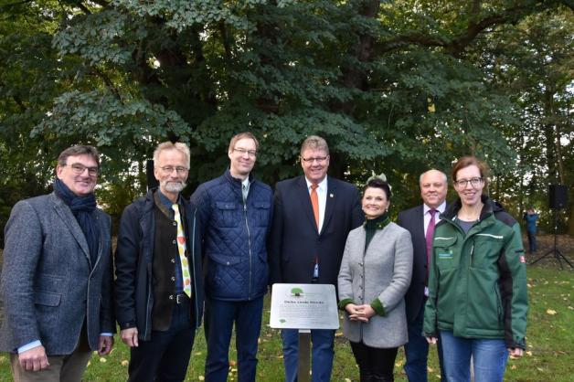 Heeder Linde "Nationalerbe-Baum" Nummer