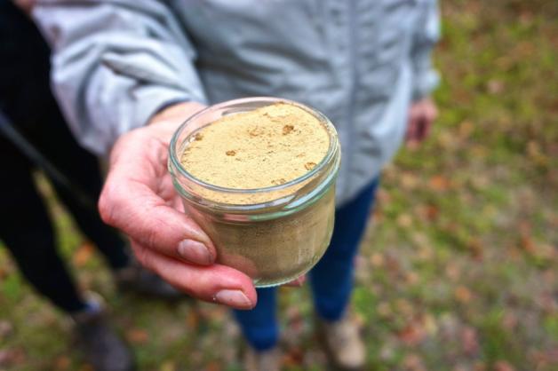 Ocker-Wanderung in Hilter – beliebt wie eh und