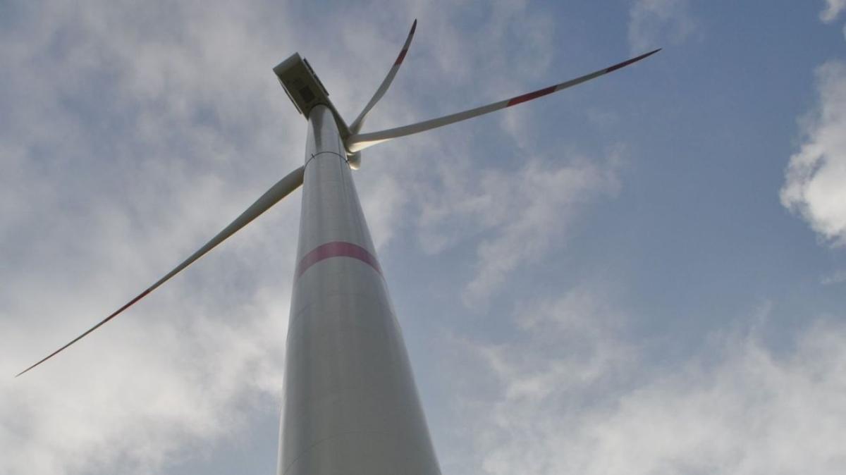 Frage zum Rotmilan-Vorkommen im Fürstenauer Windpark Welperort