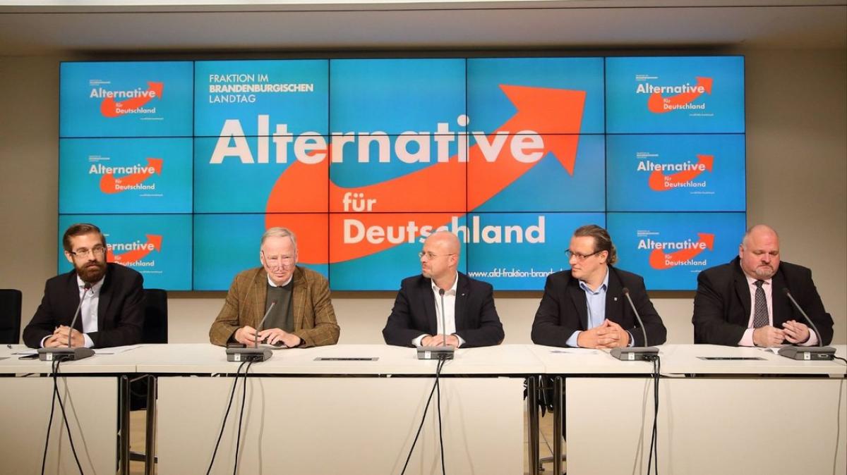 Mehr als 20 Prozent: AfD in Brandenburg erstmals vorn | NOZ