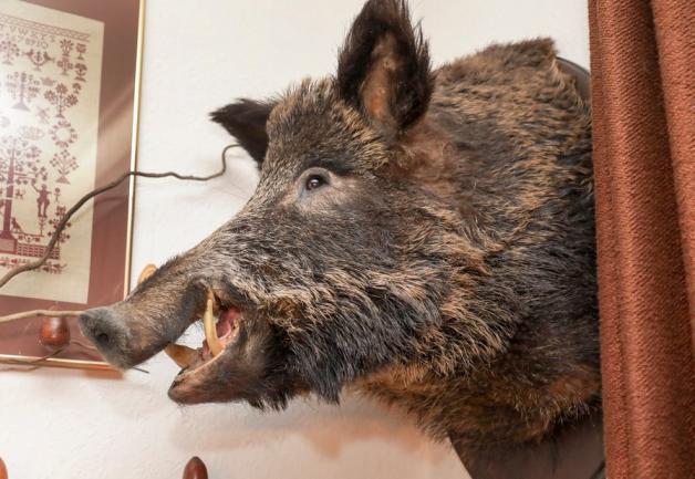 Johannes Schröder wohnt im Heimatmuseum Borgloh