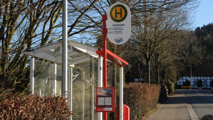 Europaabgeordneter Jens Gieseke schaut sich Willi-Bus an