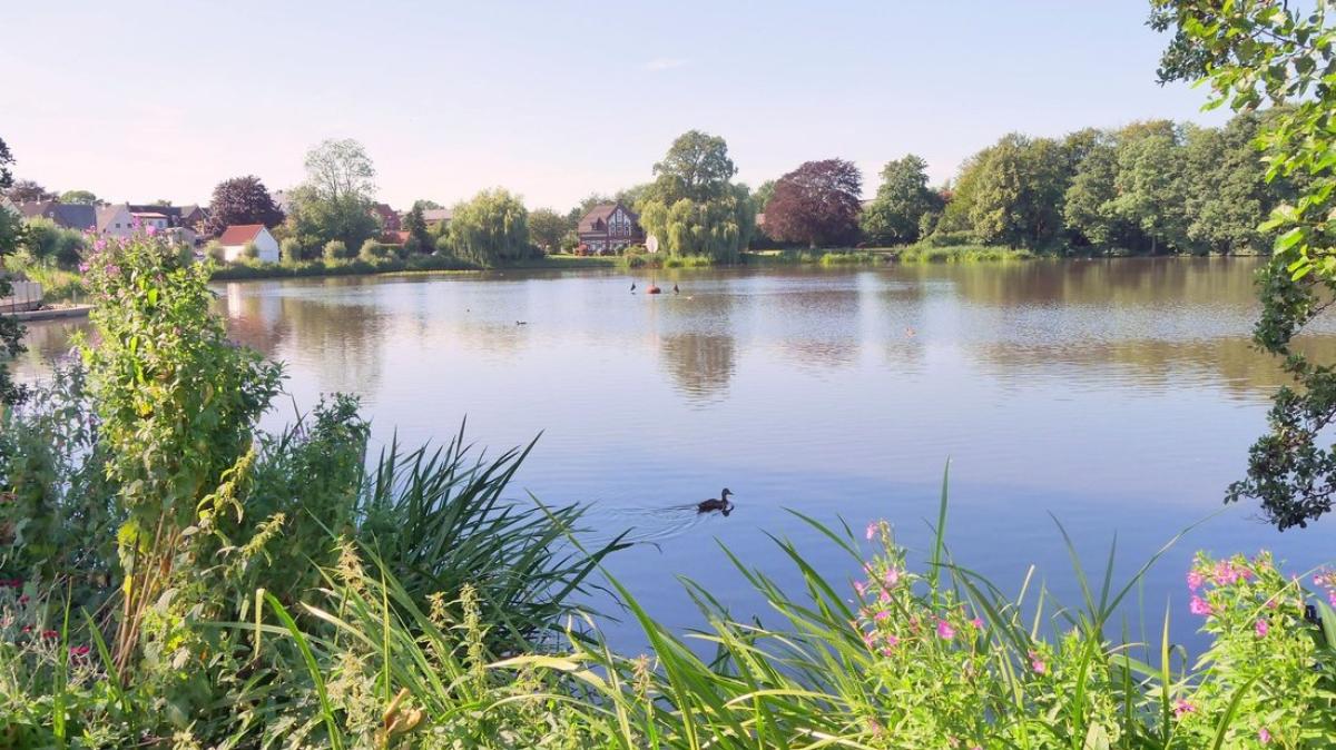Ortsentwicklung in Bredstedt: Die Stadt hat viel vor in den