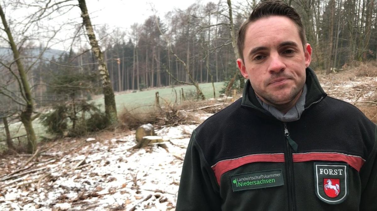 Storytelling: Stockmann - Hunderttausende Bäume müssen neu gepflanzt werden