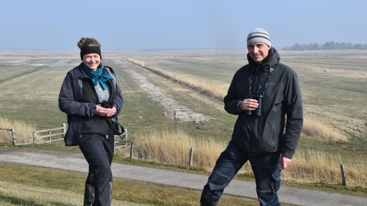 Neues Refugium für Wiesenvögel südlich von Archsum
