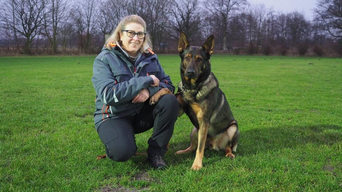 Erhöhte Hundesteuer in Tornesch: Vereine wollen Sozialklausel