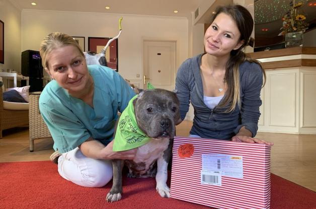 Heiße Spur zu "Bettys" letztem Halter führt nach