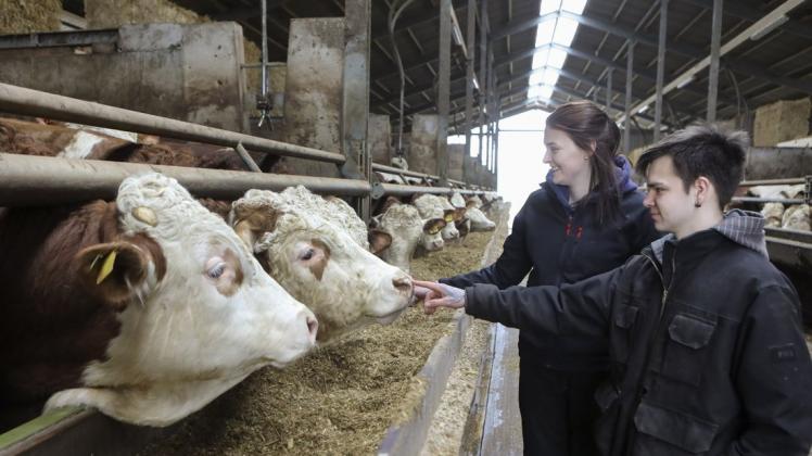 Ausbildung mit Förderbedarf: Diese jungen Leute bekommen eine