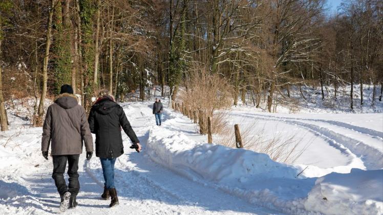 Winterwunderland am Hüggel in Hagen und Hasbergen