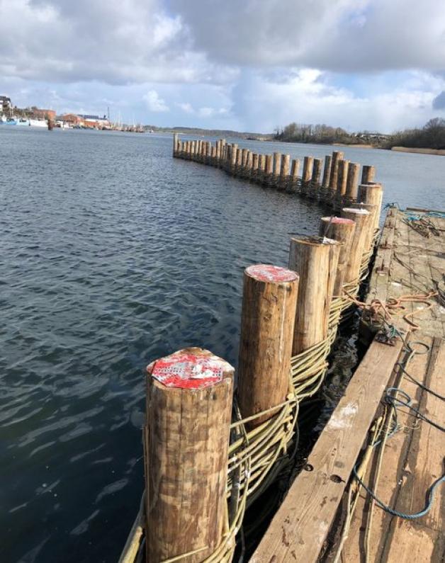 Aktuelle Heringsfänge Kappeln – Aktuelle Heringsfänge – KHVGE