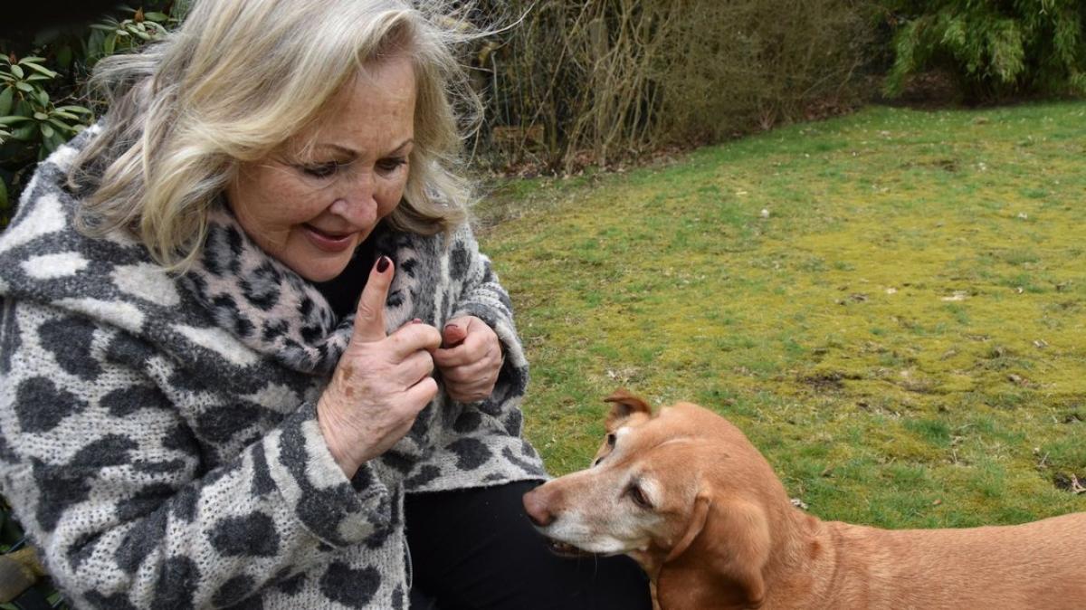 Heidi Scheel gibt misshandelten und gequälten Tieren ein Zuhause