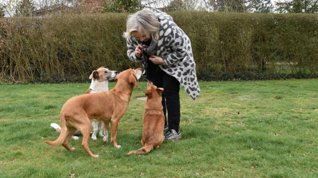 Heidi Scheel gibt misshandelten und gequälten Tieren ein Zuhause