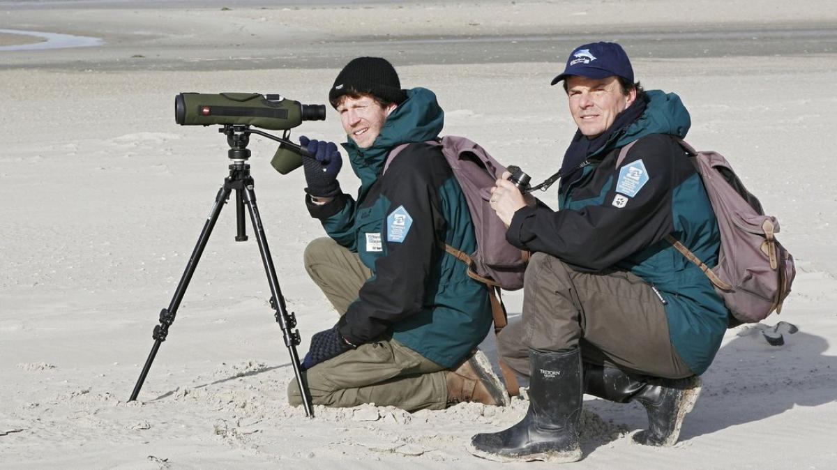25 Jahre Nationalpark-Ranger im Wattenmeer