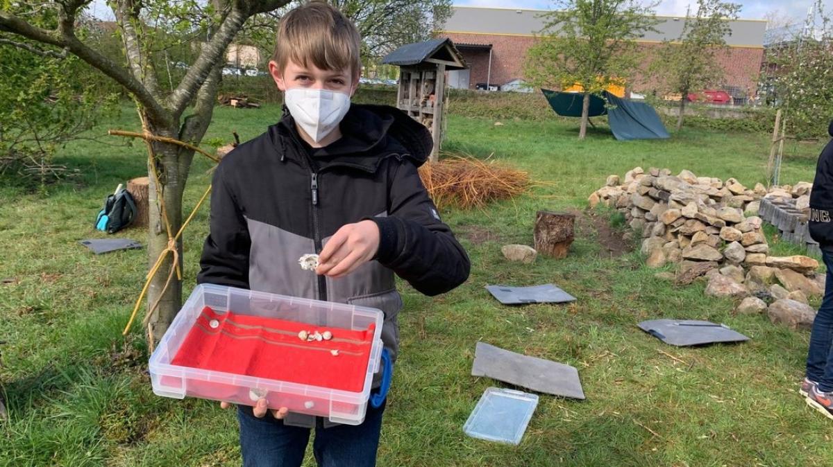 Bramscher Realschüler lernen wenigstens im Schulgarten gemeinsam