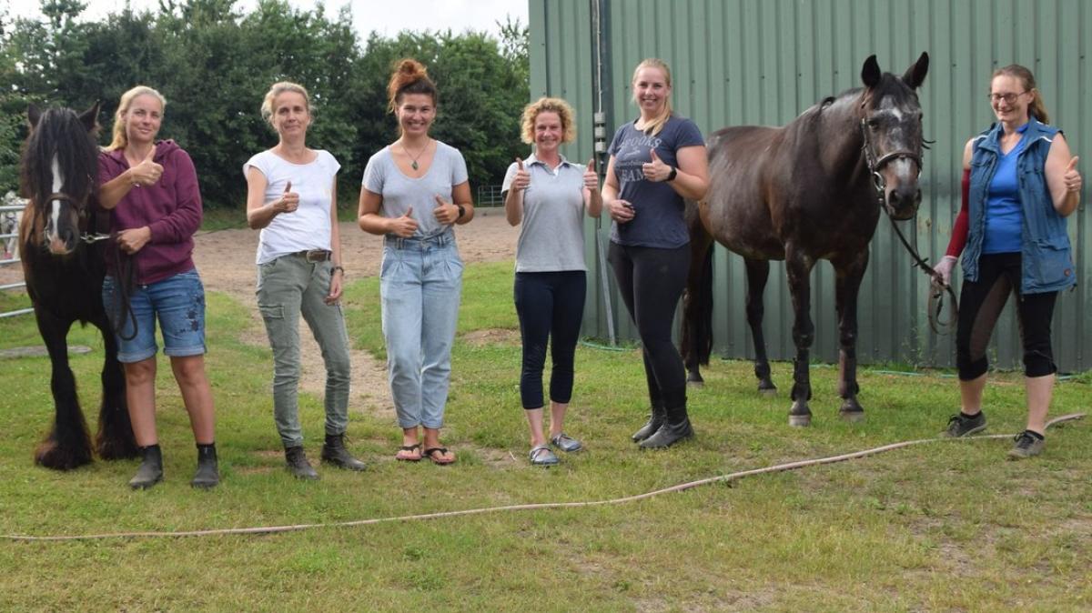 Reiter und Läufer starten Lauf ins Leben mit Pferden in Loose.