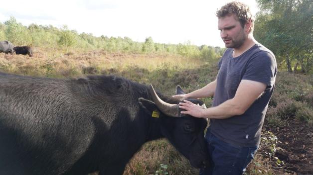 Warum zwei Junglandwirte bei Meppen Wasserbüffel halten | NOZ
