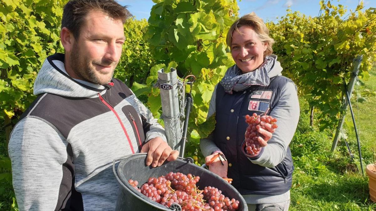 Melanie Engel und Karsten Wulf erklären, wie aus der Traube
