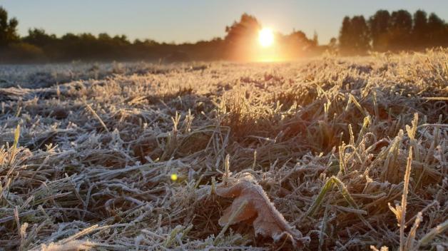 Bodenfrost: So gut ist der Winterdienst in Eutin vorbereitet