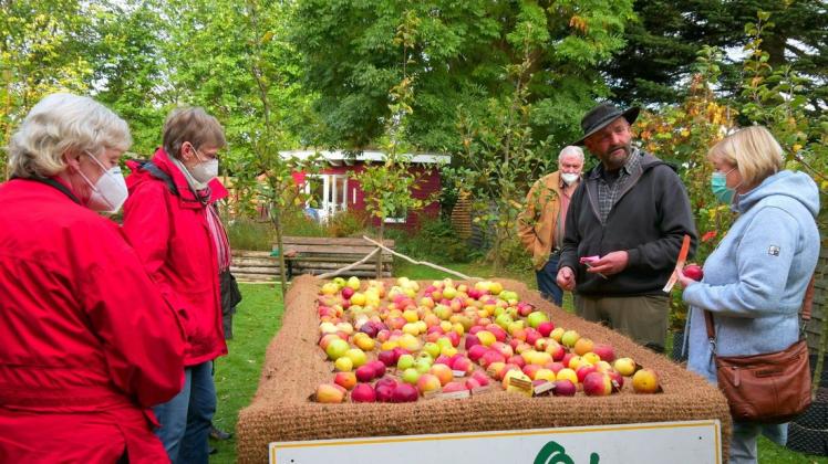 Bredstedter Apfeltag: Gärtnermeister Thomas Andresen ist der
