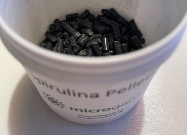 Die Firma Microganic aus Melle forscht und handelt mit Plankton