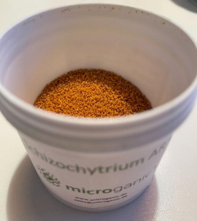 Die Firma Microganic aus Melle forscht und handelt mit Plankton