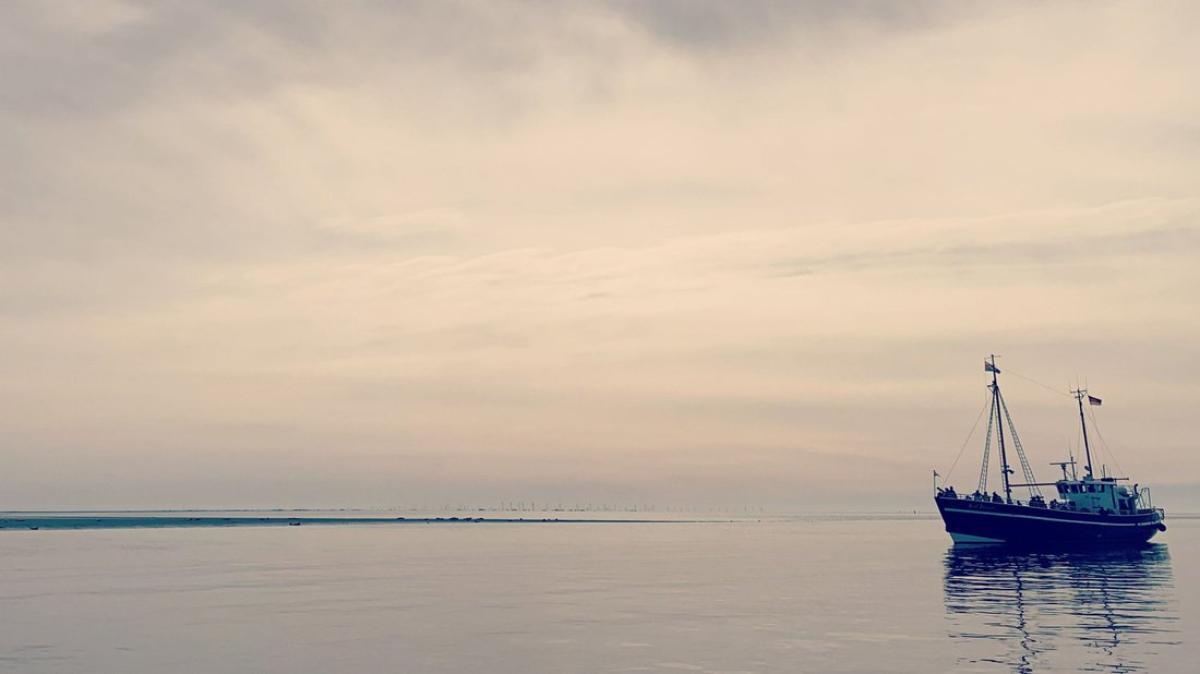 Sylt, Seehunde und Glühwein: Adler-Schiffe starten mit