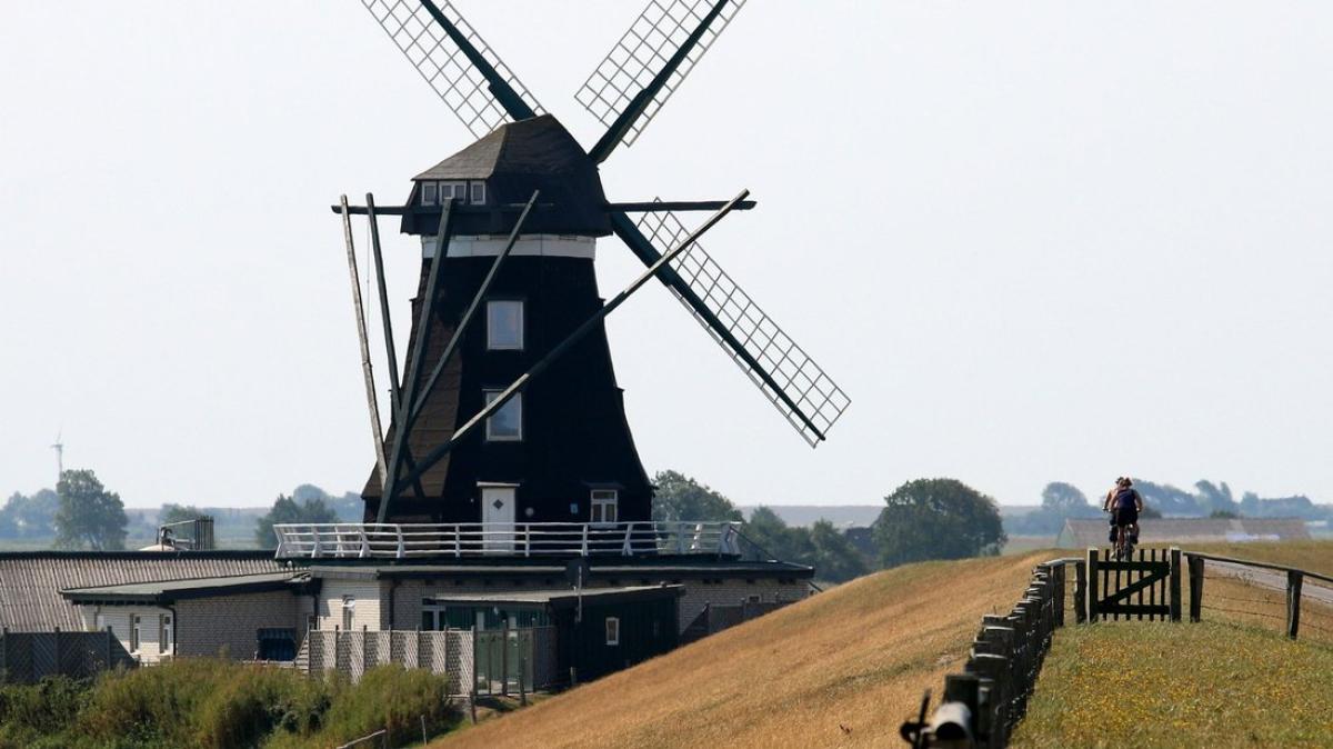 Tourismus-Logo: Wie Pellworm bei Touristen punkten will | SHZ