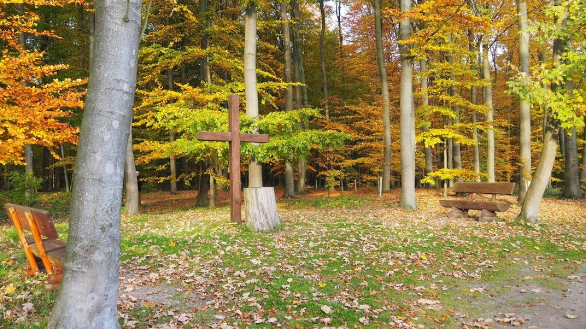 Zehn Jahre Friedwald in Jersbek, letzte Ruhestätte auch für Tiere