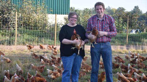 Wie Landwirte in Bramsche ihre Tiere gegen Geflügelpest wappnen