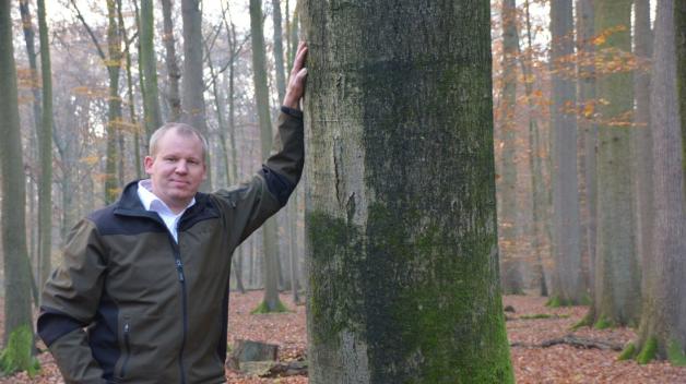 Rotbuche als Baum des Jahres leidet unter dem Klimawandel