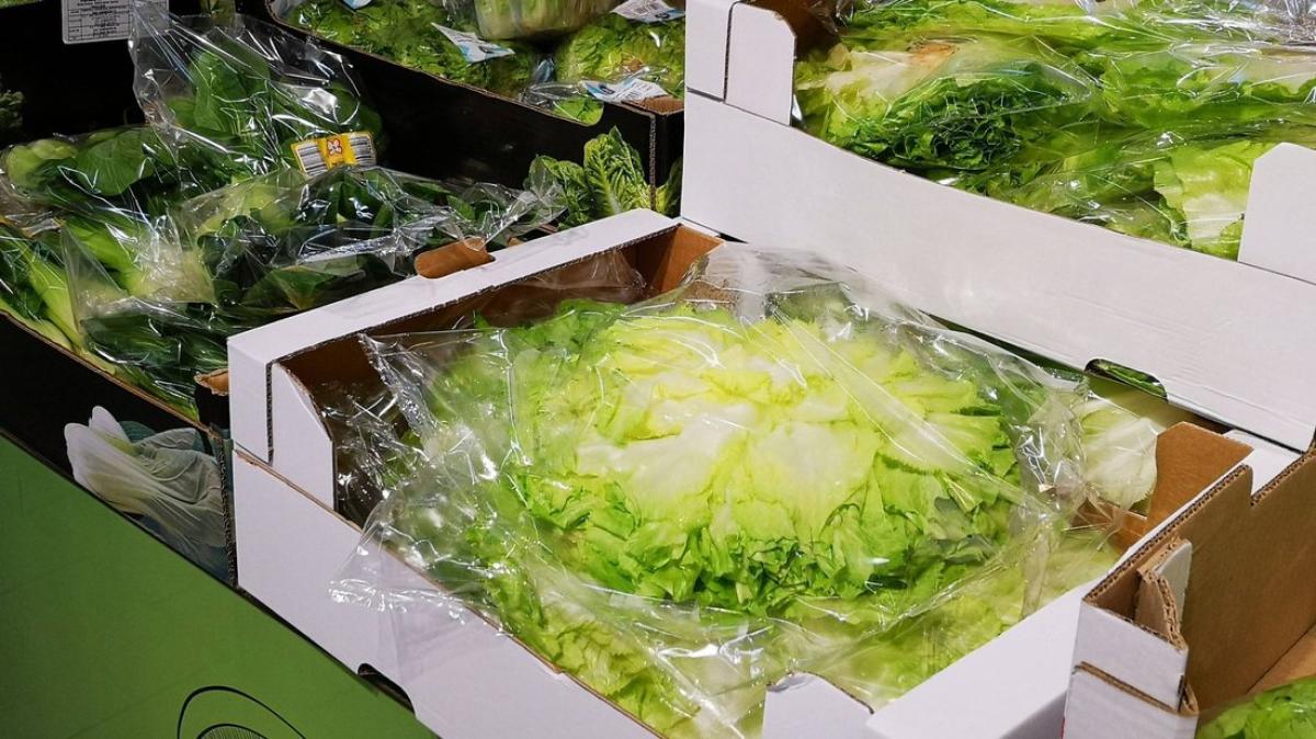 Australien: Aldi-Kunde findet lebende Schlange im Salat | NOZ