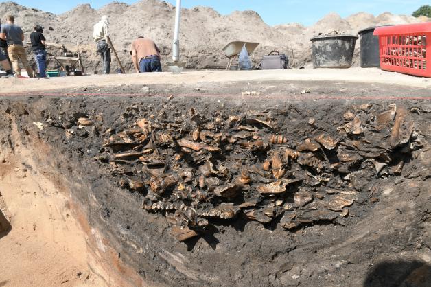 Entdecken Sie die zehn bedeutendsten Schätze Niedersachsens