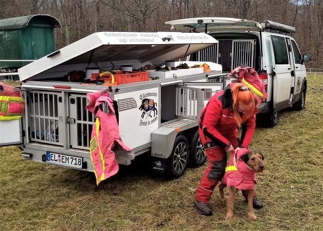 Jagd: Hunde der Eilersmeute aus Lengerich sprengen jede Wildrotte