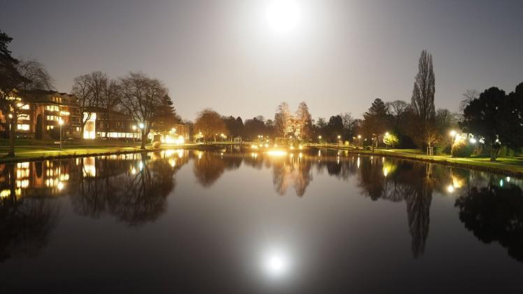 Rosarium Uetersen: Das ist trotz Corona geplant